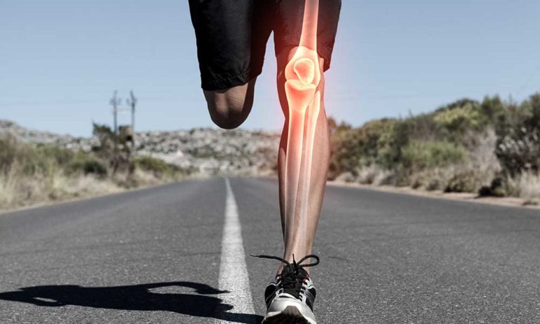 running-anatomy - Orthopaedic Medical Group of Tampa Bay