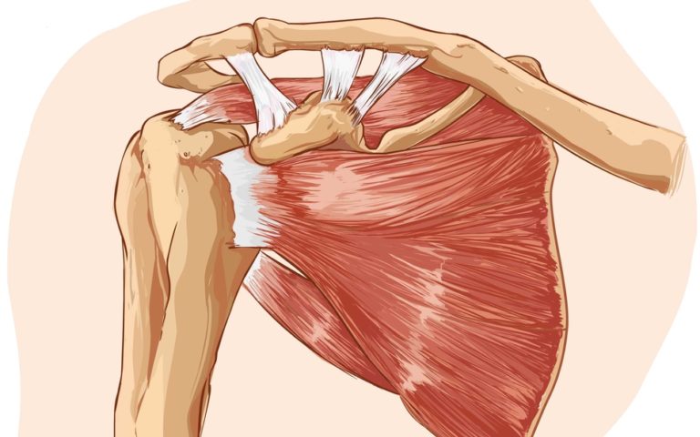 What are Common Signs of Rotator Cuff Injuries? - OMG Tampa Bay